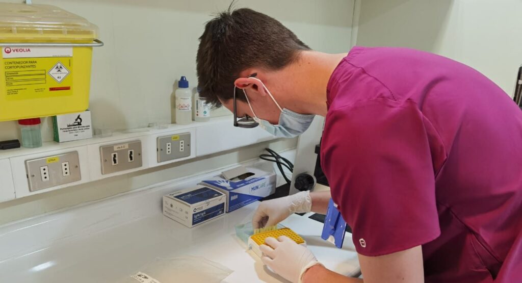 Laboratorio del hospital de Contulmo alcanza los siete mil exámenes ...